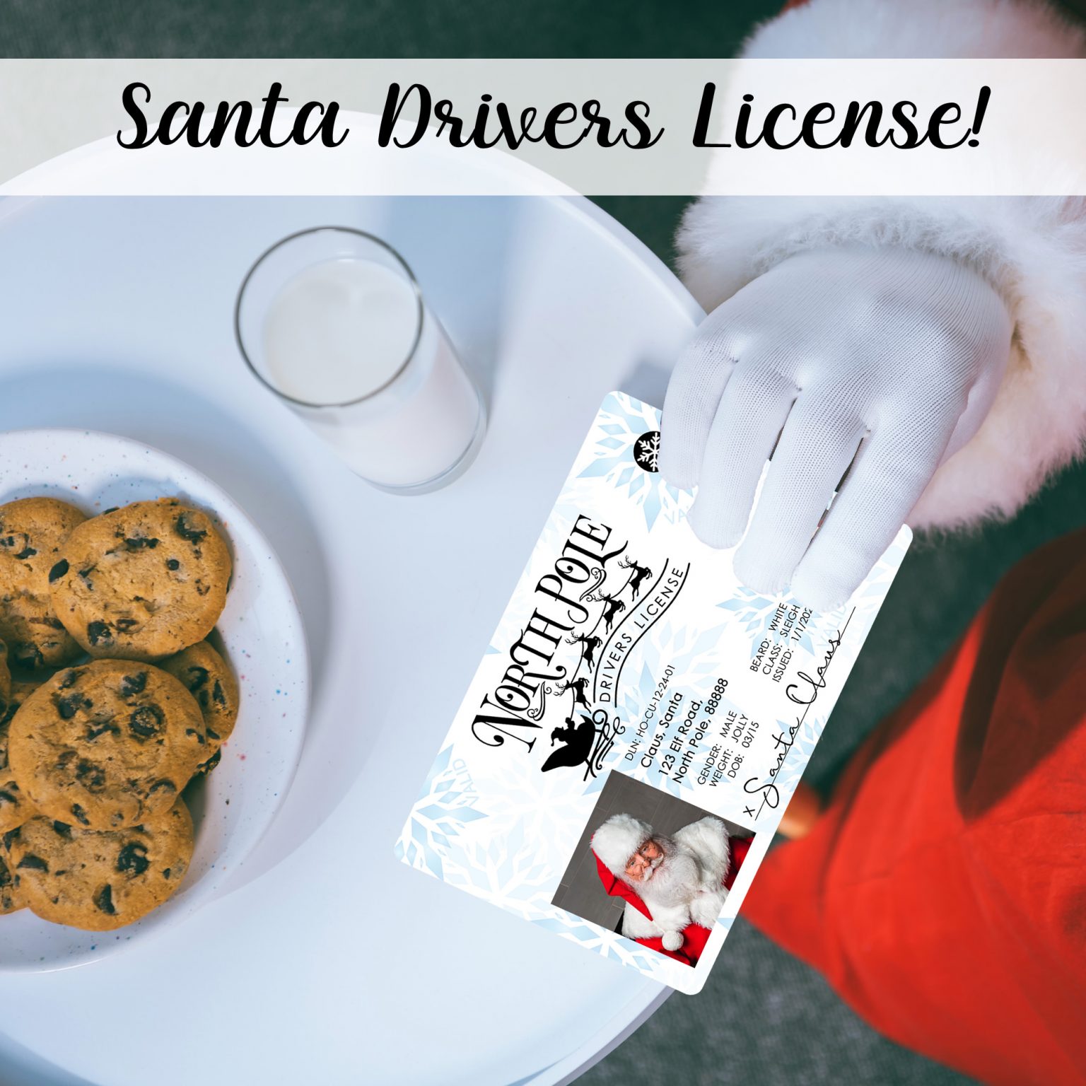 ♥ Santa Drivers License | Savor the Memories
